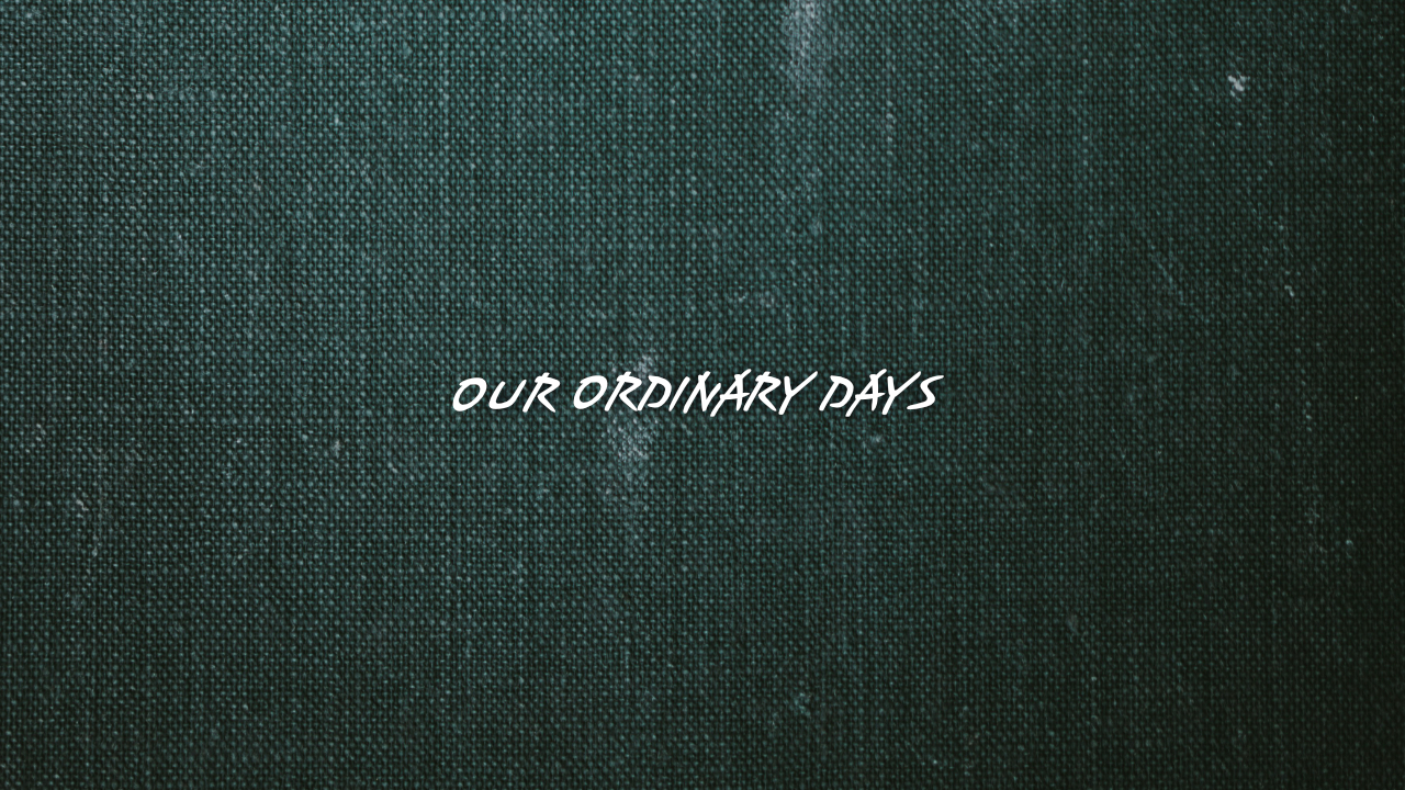 Our Ordinary Days (Michelle Stinson) - New Denver Church