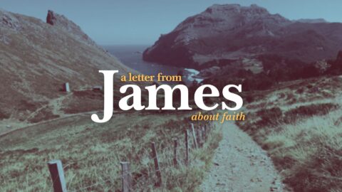James - Part 6: An Untamable Animal (Norton Herbst) - New Denver Church